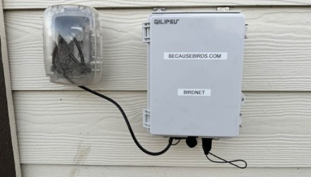 Home projects | birding.wiki