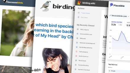 Web projects | birding.wiki